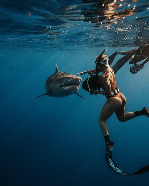 Paul & Shark Size Guide | UK Sizing Charts & Fit Tips